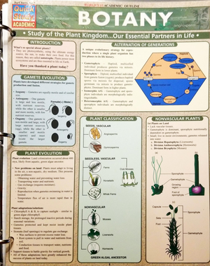 Structure of typical plant cell - mitochondrion -nuceus Perowsome ribosomes central vacuole ...