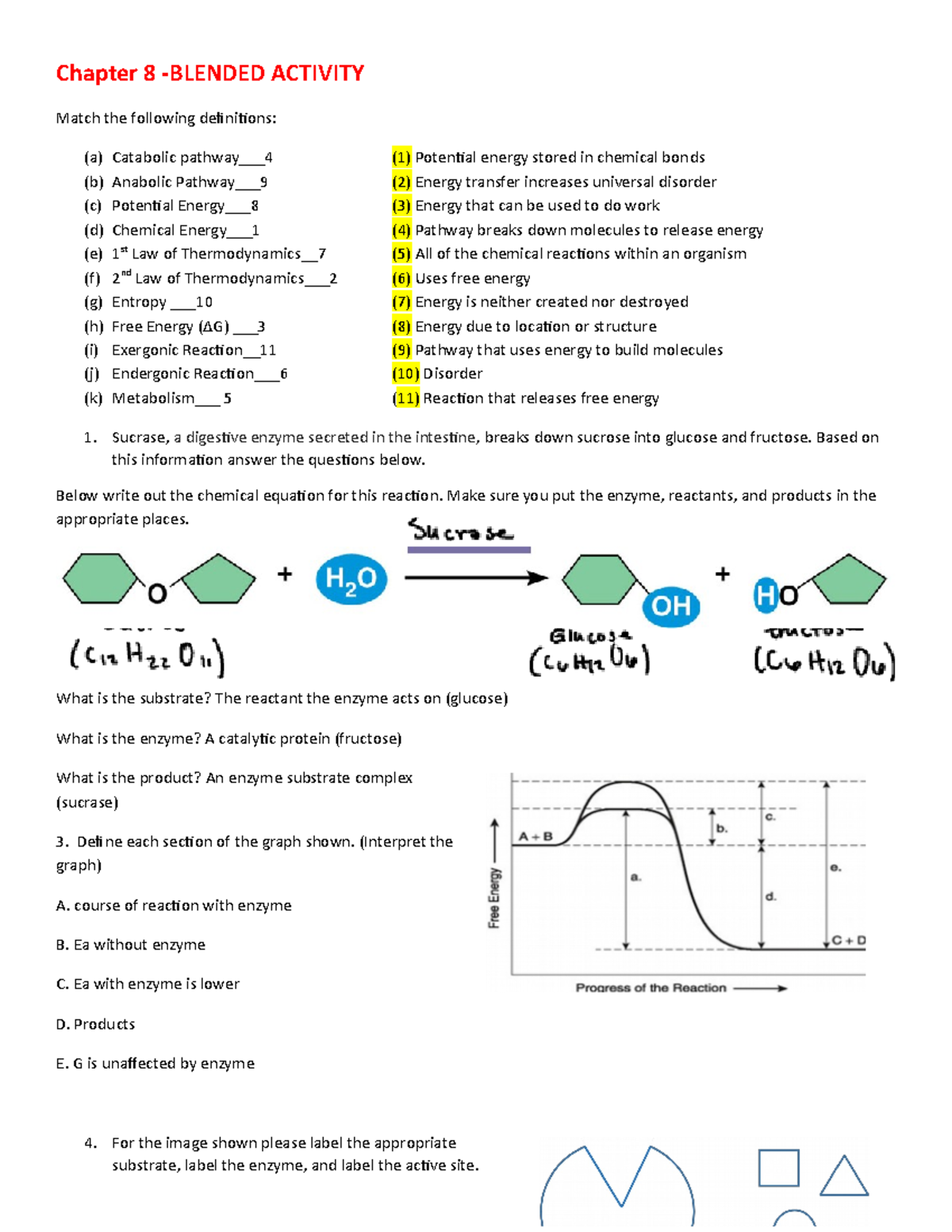 WEEK 5-HW- Chapter 8-SM - Chapter 8 -BLENDED ACTIVITY Match the ...