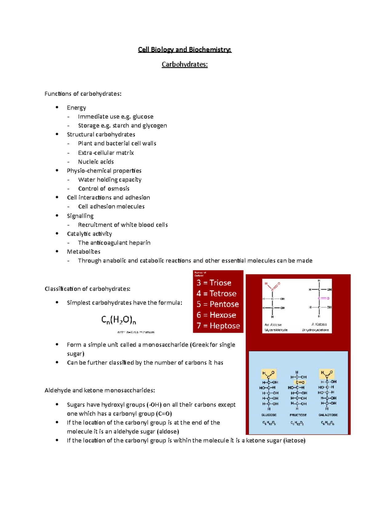Lecture 10 - Carbohydrates - Cell Biology and Biochemistry ...