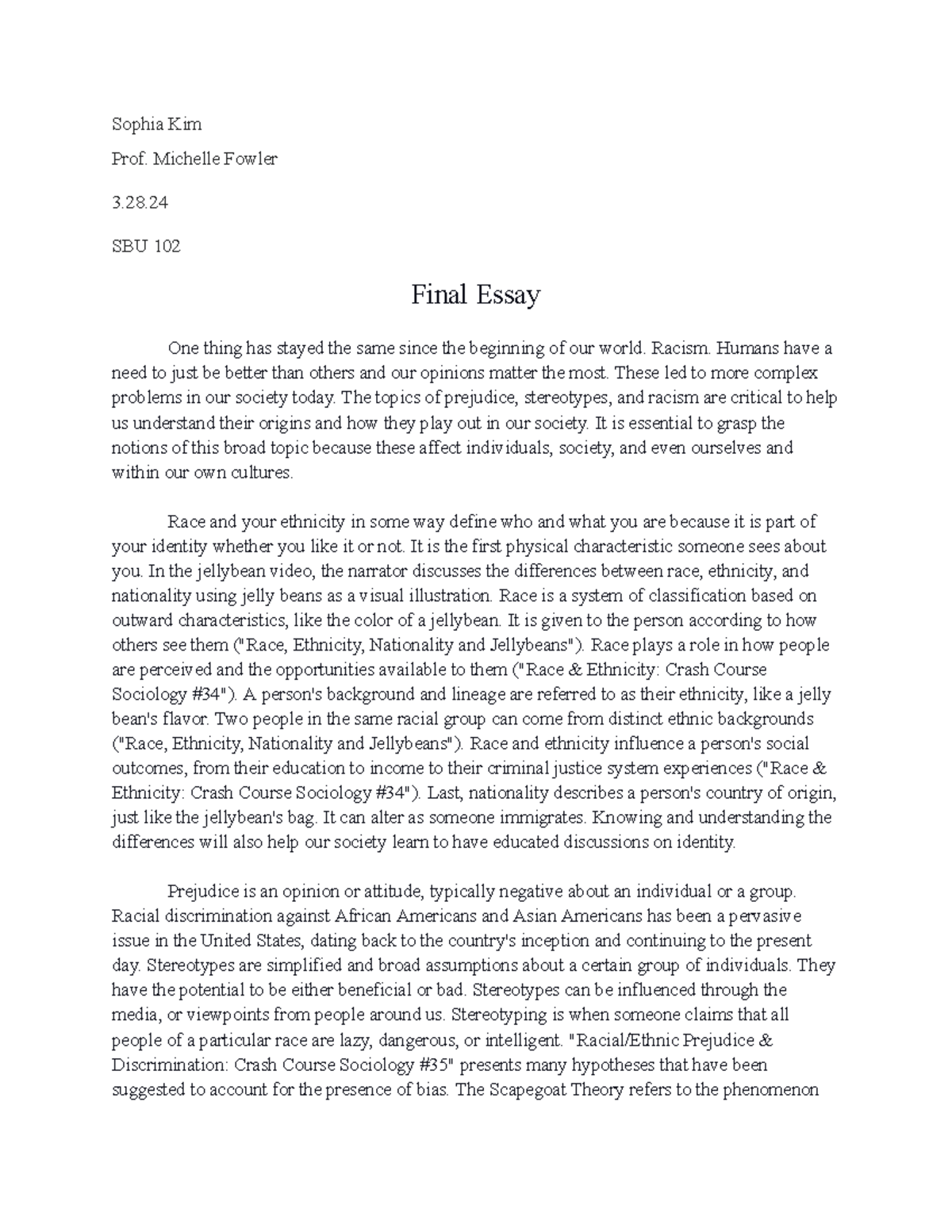 Final Essay SBU 102 - Instructions Review the 3 videos on ethnicity ...