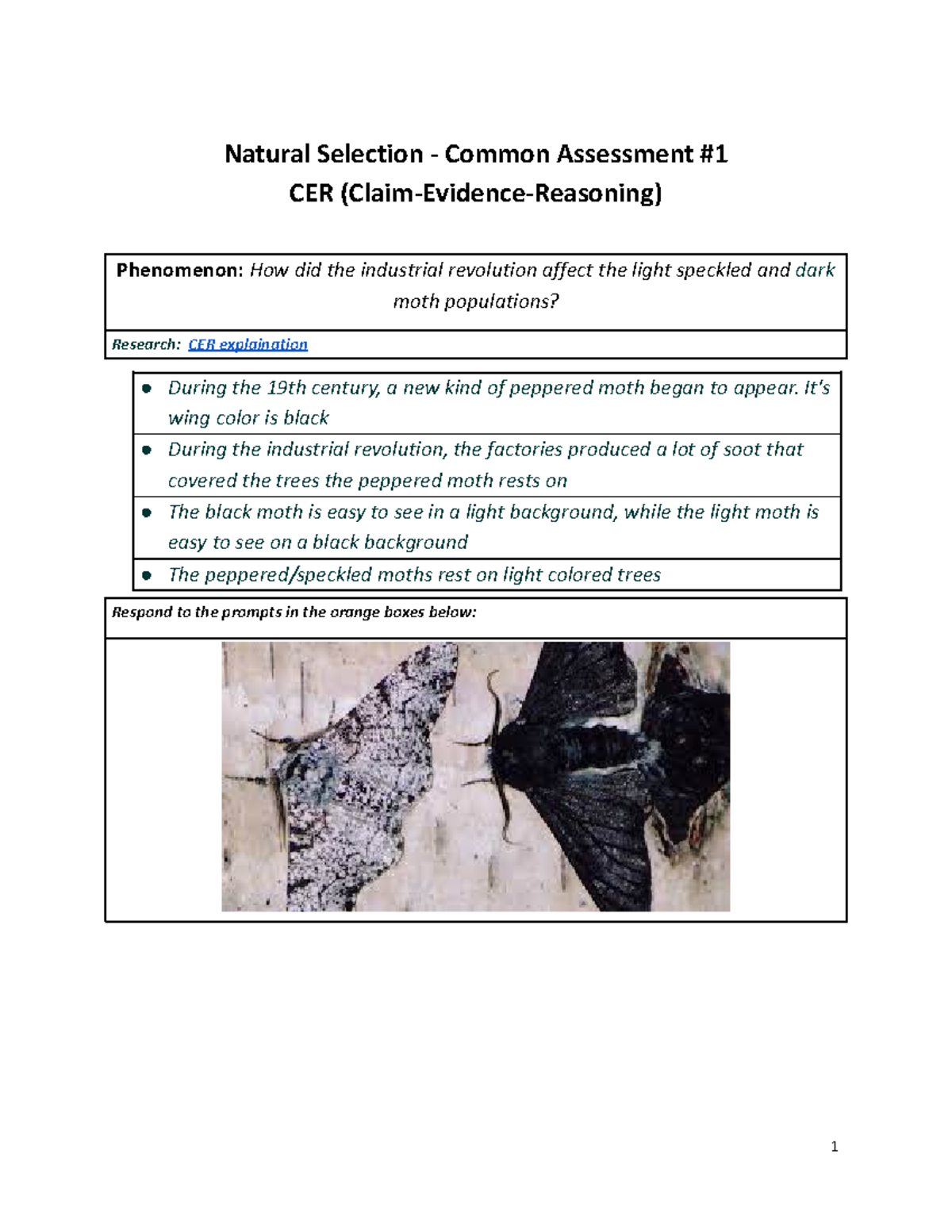 Copy of CER Natural Selection - Common Assessment - Natural Selection ...