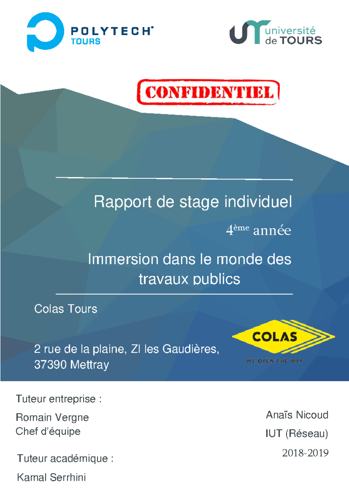 2019 stg DAE4 Nicoud Anaïs - Rapport de stage individuel 4 ème année Immersion dans le monde des ...