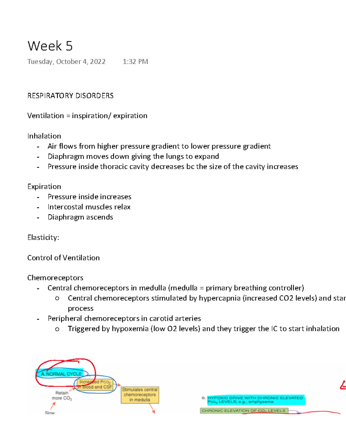 Week 5 - Week 5: Respiratory systems - RESPIRATORY DISORDERS ...
