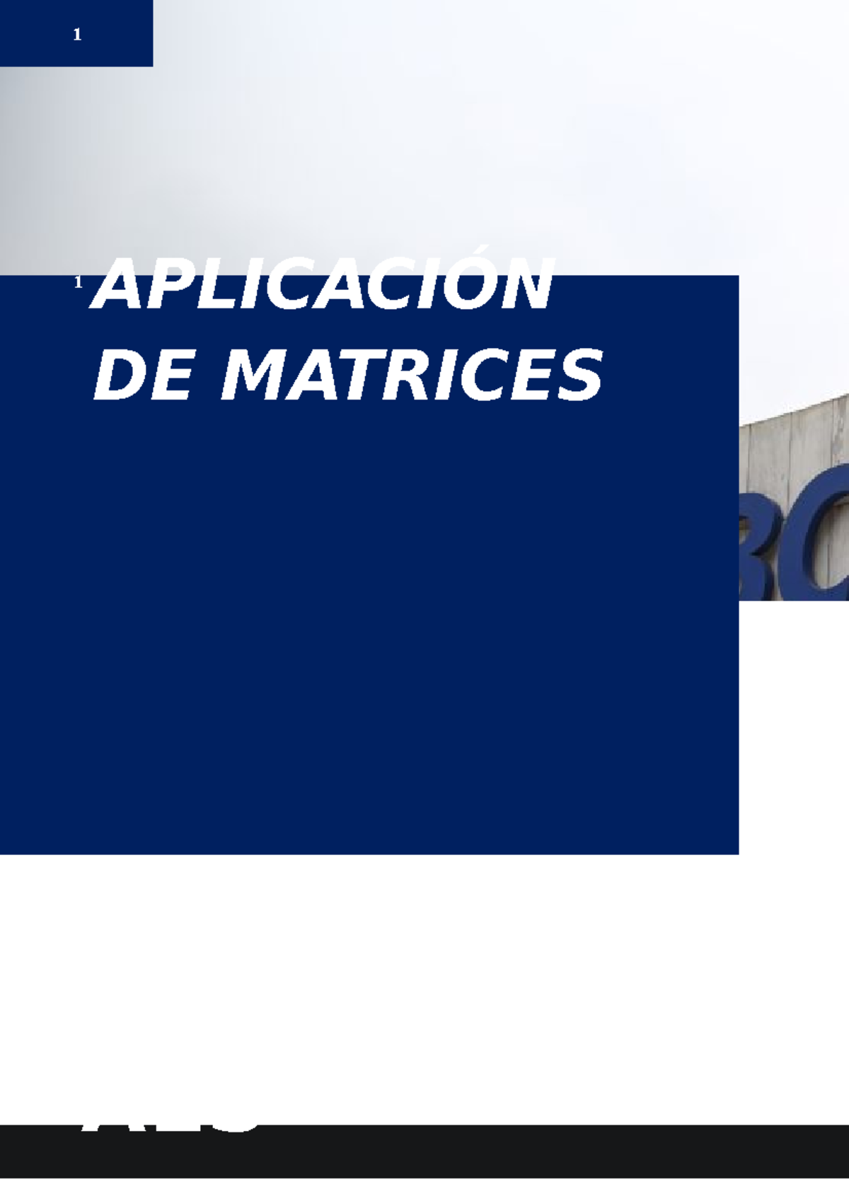 La Real Plantilla Modelo nro1 - ALGORITMO AES 11 APLICACIÓN DE MATRICES ...