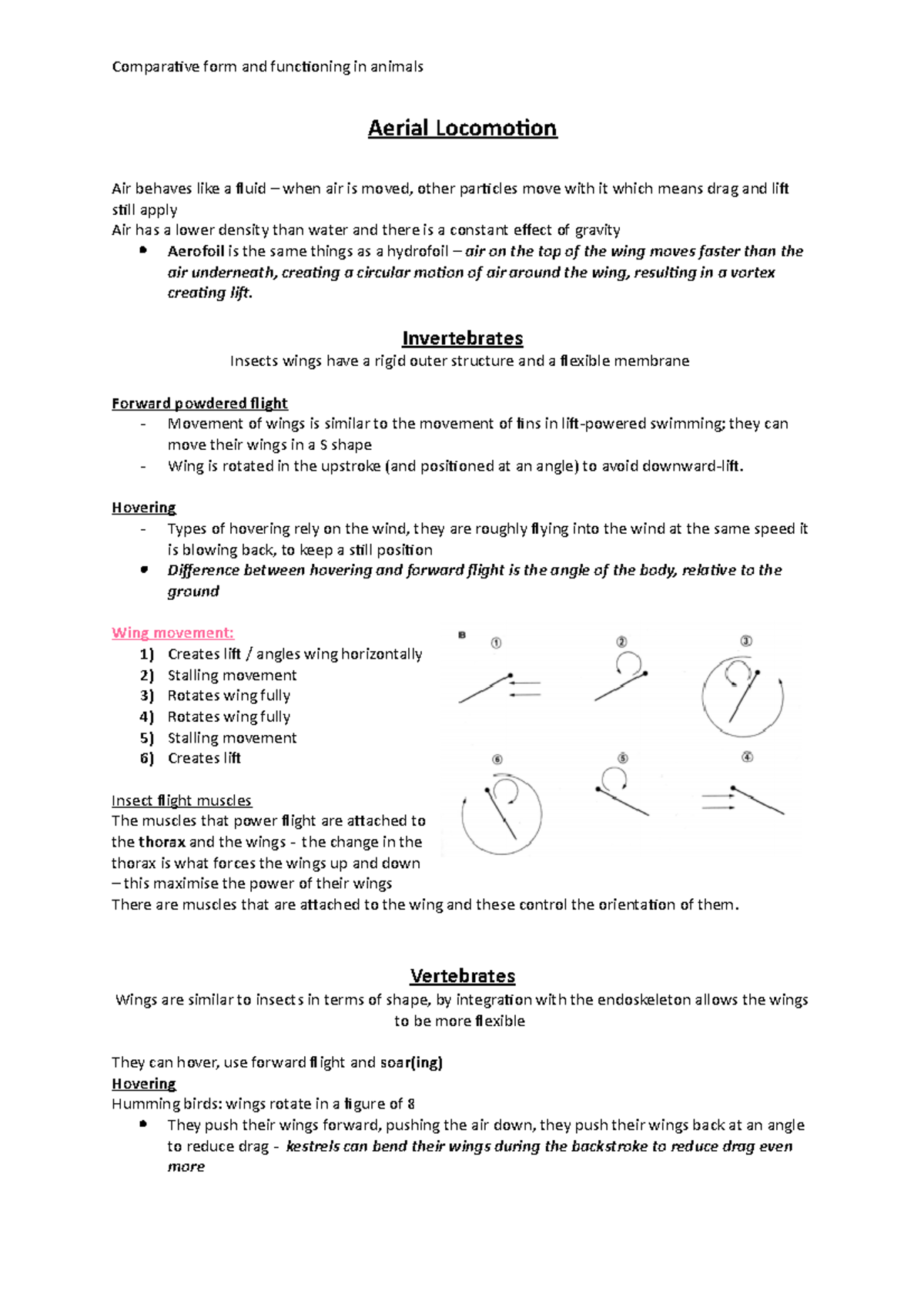 Aerial Locomotion - notes - Comparative form and functioning in animals ...