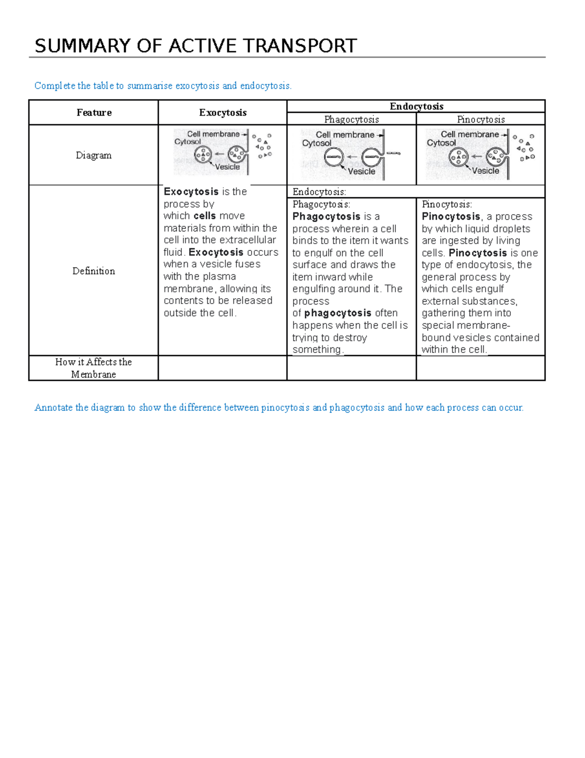01f. Summary of Active Transport - SUMMARY OF ACTIVE TRANSPORT Complete ...