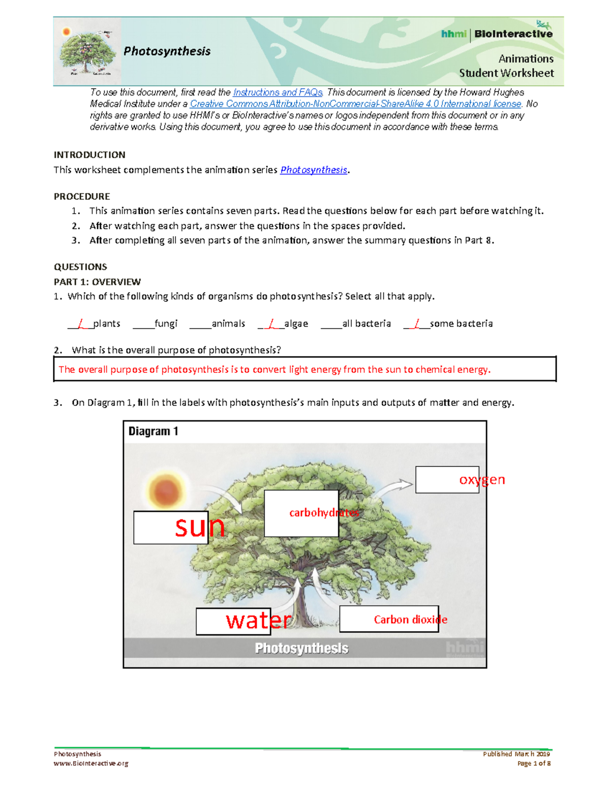 492393072 Photosynthesis Student Worksheet with Answers - Animations ...