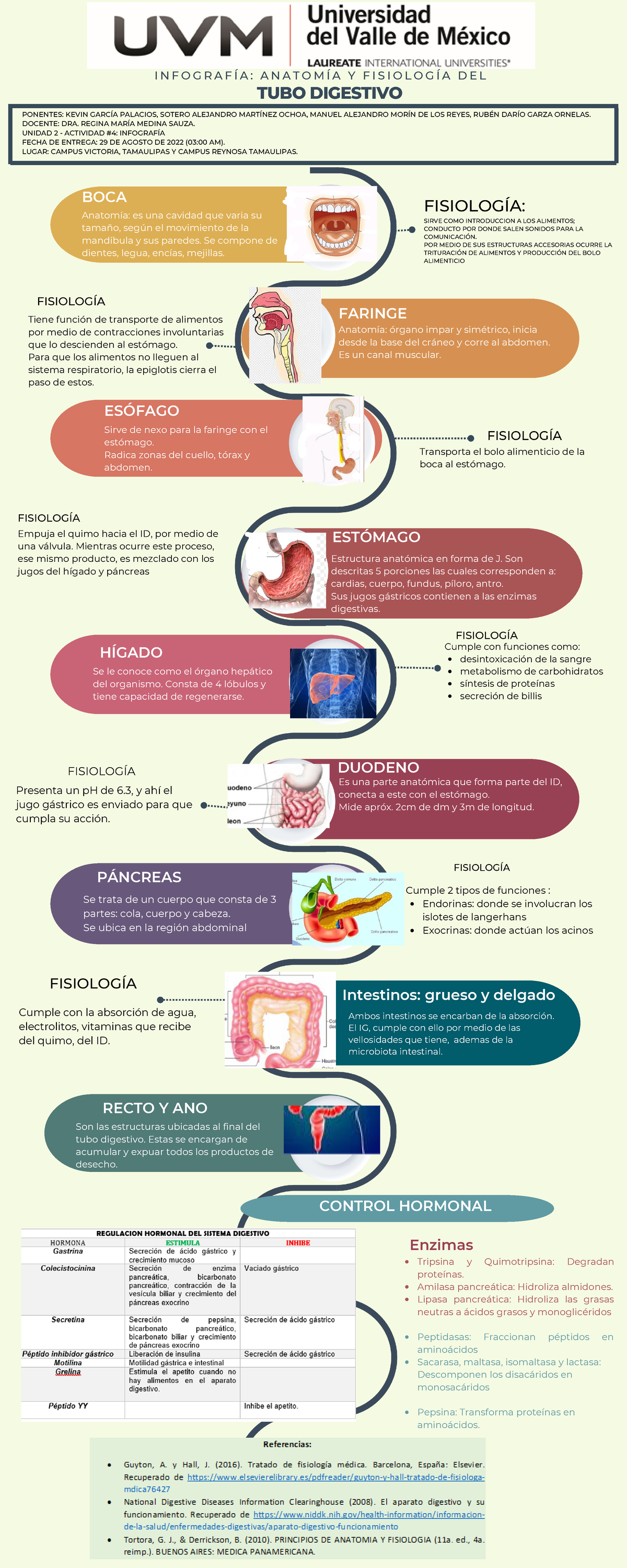 A#4. RDGO - Actividad 4 Infografía Aparato digestivo - RECTO Y ANO ...