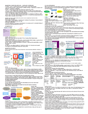 Module 1 Cheat Sheet Version 2 - Article Summaries: Porter’s Five ...