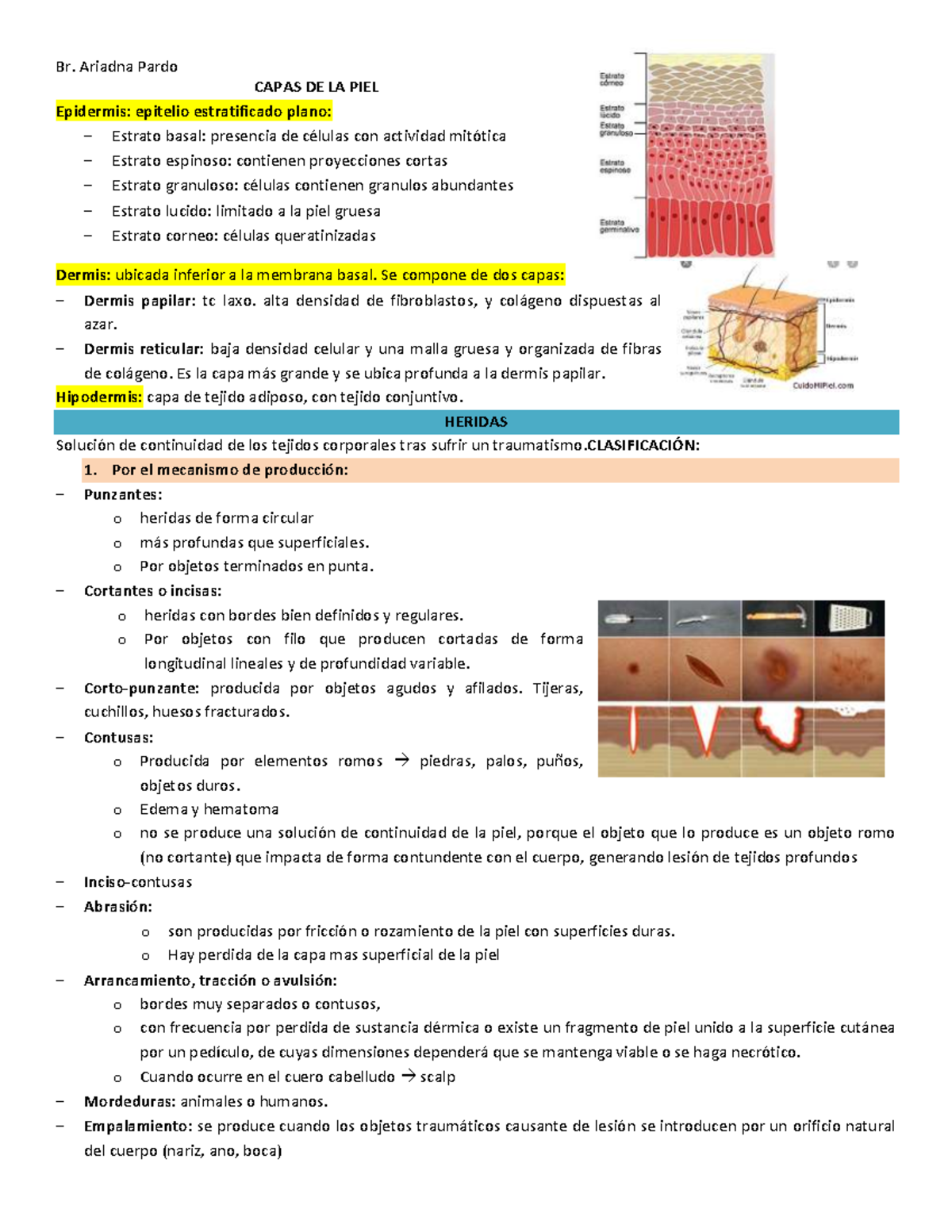 3. Heridas Y Cicatrización - CAPAS DE LA PIEL Epidermis: epitelio estratificado plano: Estrato ...