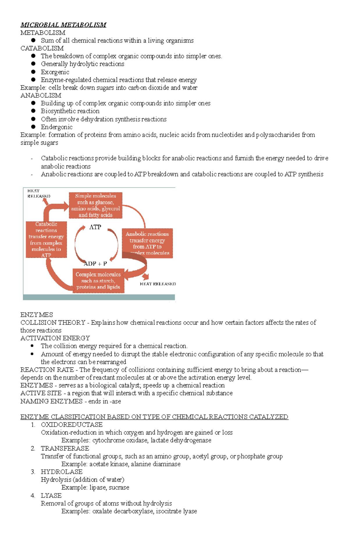 Microbiology Notes - Microbial Metabolism - MICROBIAL METABOLISM ...