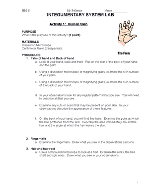 Lab manual axial skeleton atlas - PRE!LAB EXERCISES When studying the ...