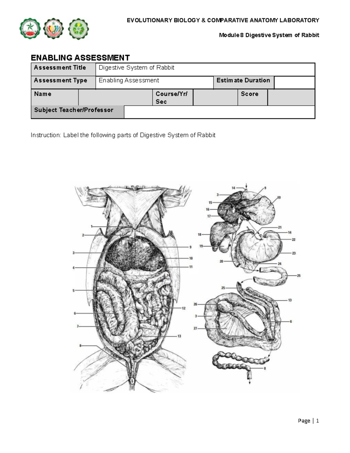 Module-8-Digestive-System-of-Rabbit 1 - EVOLUTIONARY BIOLOGY ...