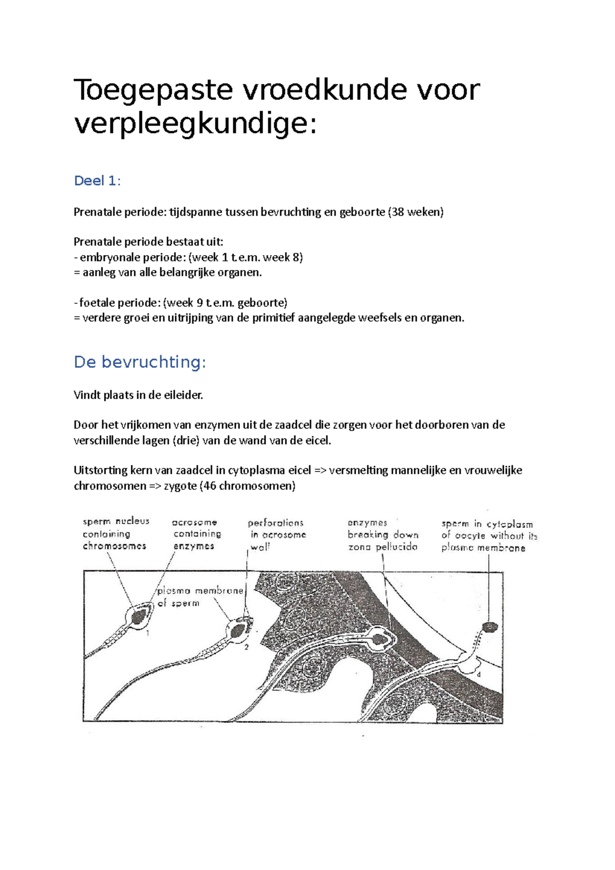 Toegepaste vroedkunde voor verpleegkundige - samenvatting KdG ...