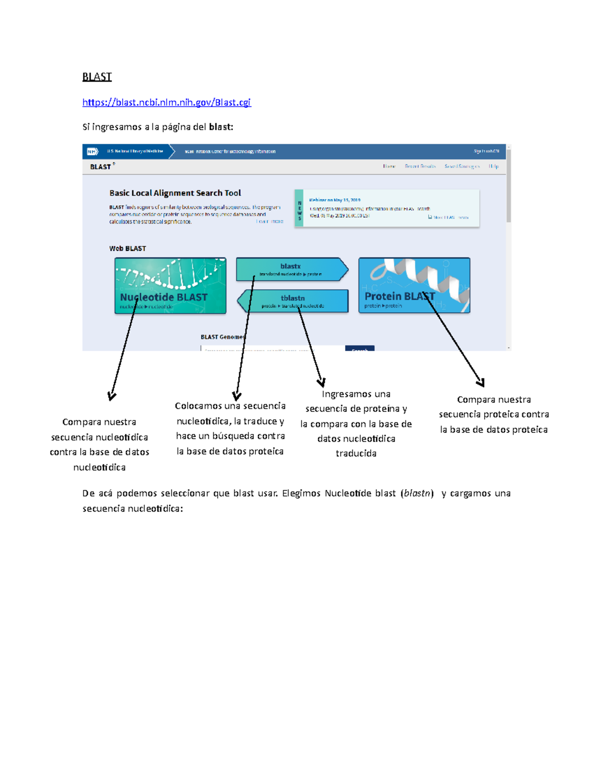 Alineamiento local BLAST - BLAST blast.ncbi.nlm.nih/Blast.cgi Si ...