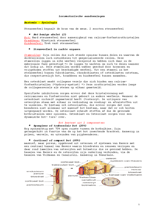 Medicatie gastro-entero - Medicatie: gastro-enterologisch stelsel Naam ...
