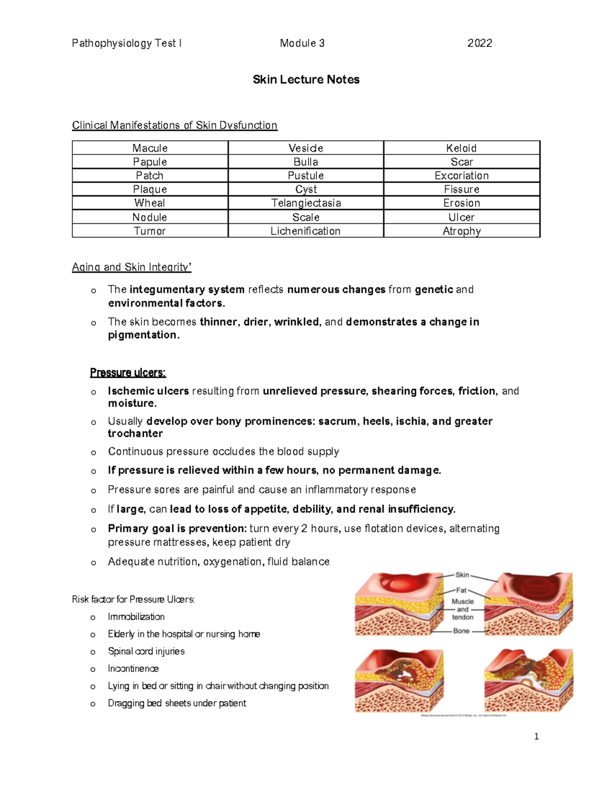 Skin Lecture - Content (notes) that covers the Integumentary System and ...