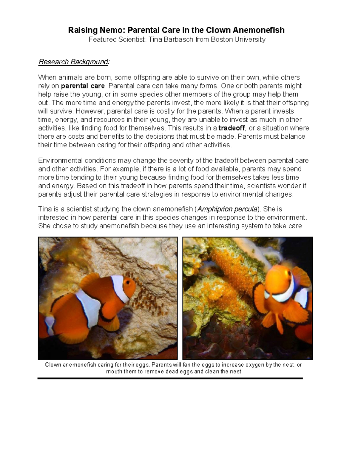 Raising-Nemo - Raising-Nemo - Raising Nemo: Parental Care in the Clown ...