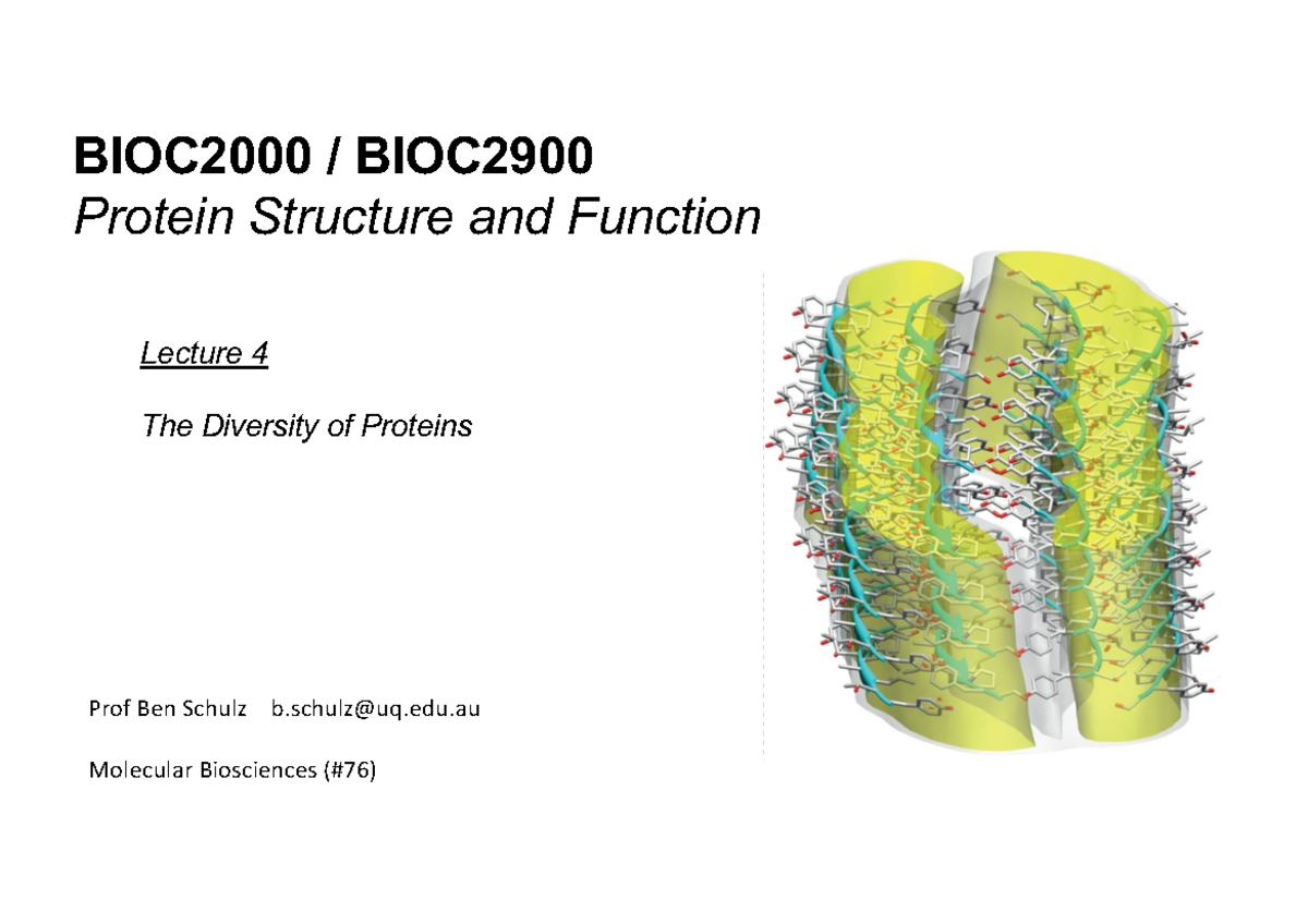 W5 L2 - The Diversity of Proteins - BIOC2000 / BIOC Protein Structure and Function Prof Ben ...