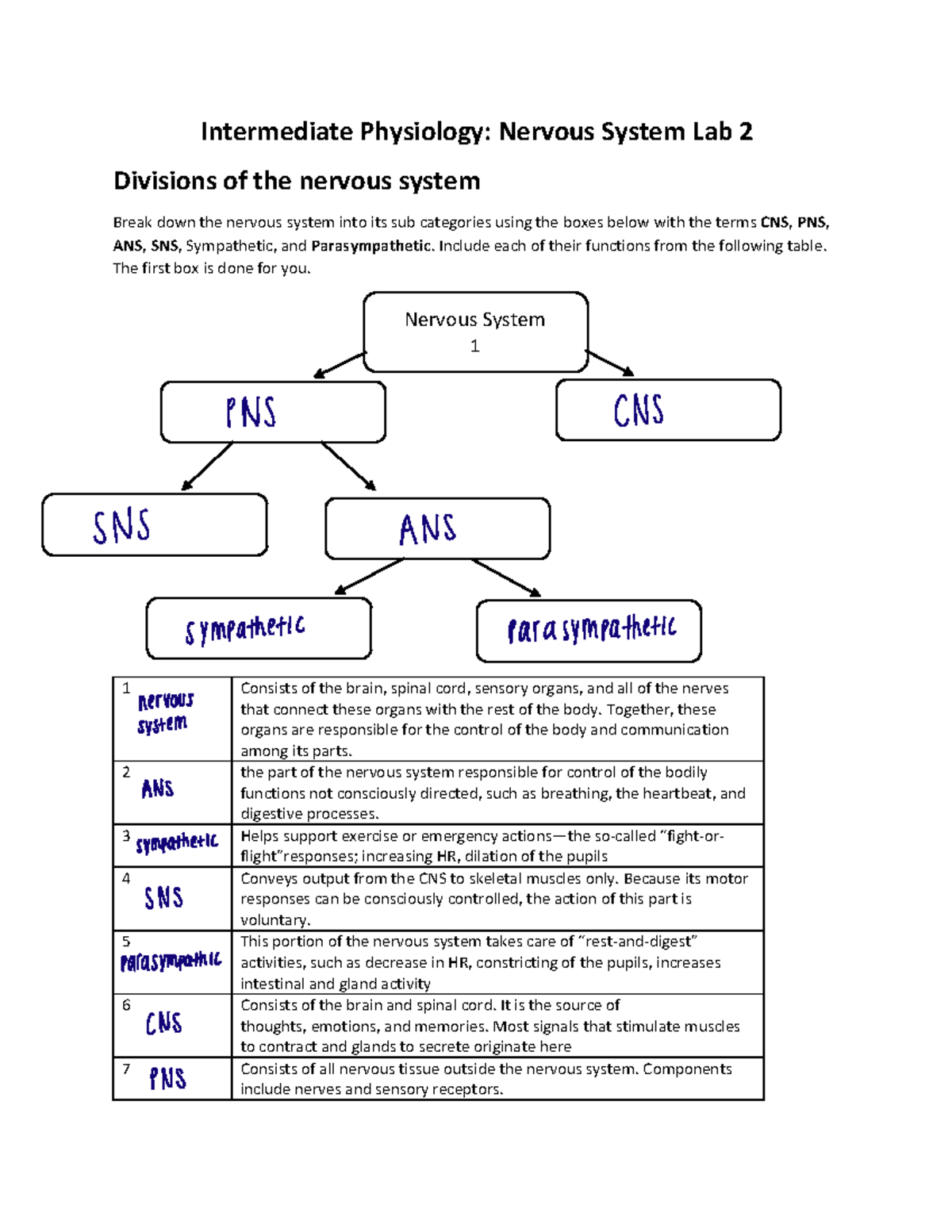 2021-Physiology-Nervous System notes - Intermediate Physiology: Nervous ...