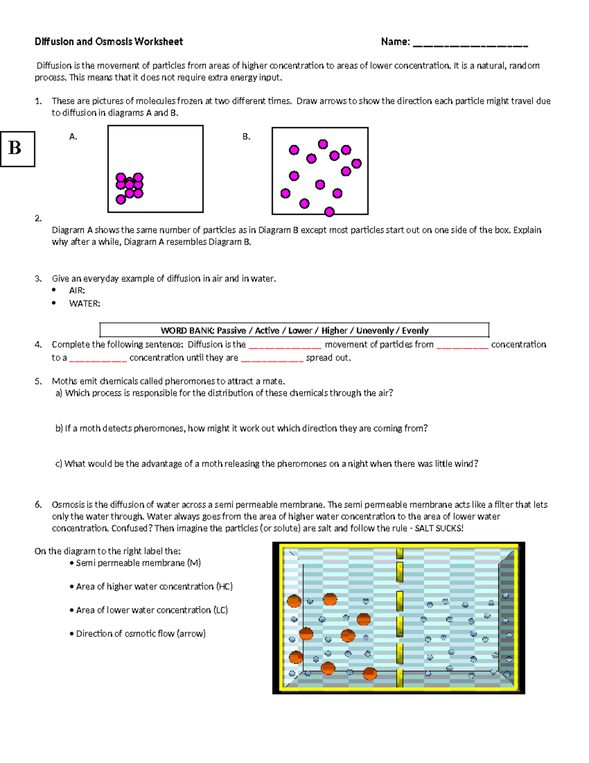 Diffusion and Osmosis Worksheet - It is a natural, random process. This ...