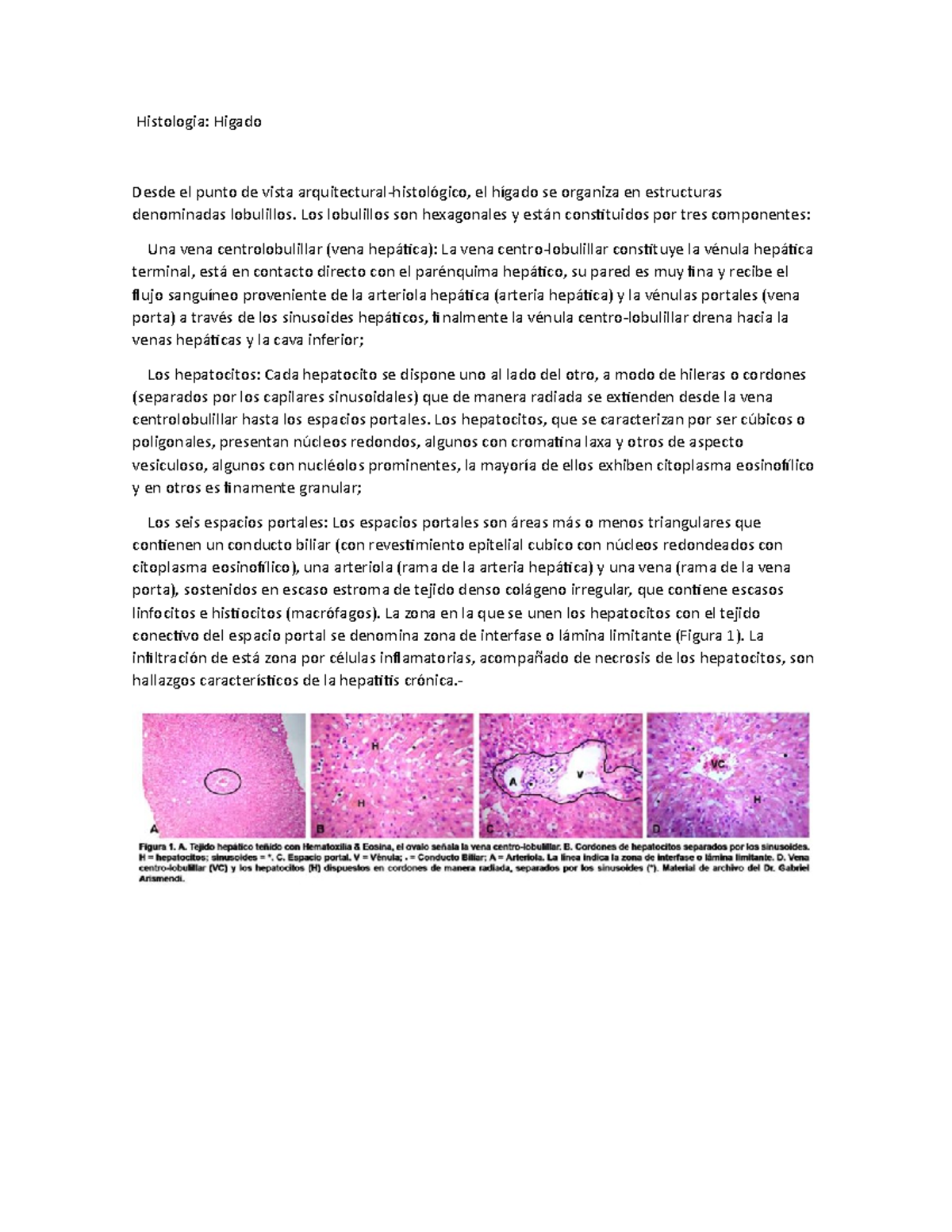 Histología del Hígado. Apuntes. - Histología General - USS - Studocu