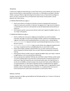 Resumen Morfo Prueba 1 PDF - Morfología INTRODUCCIÓN A LA MORFOLOGÍA ¿Qué estudia la morfología ...