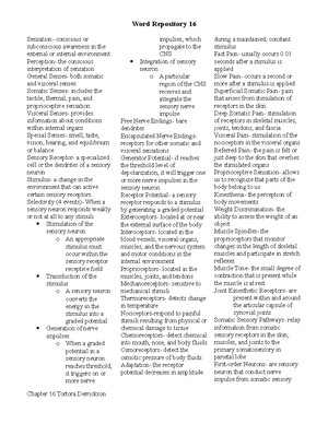 Rhetorical Analysis of Obama’s 2008 Victory Speech - Running head ...