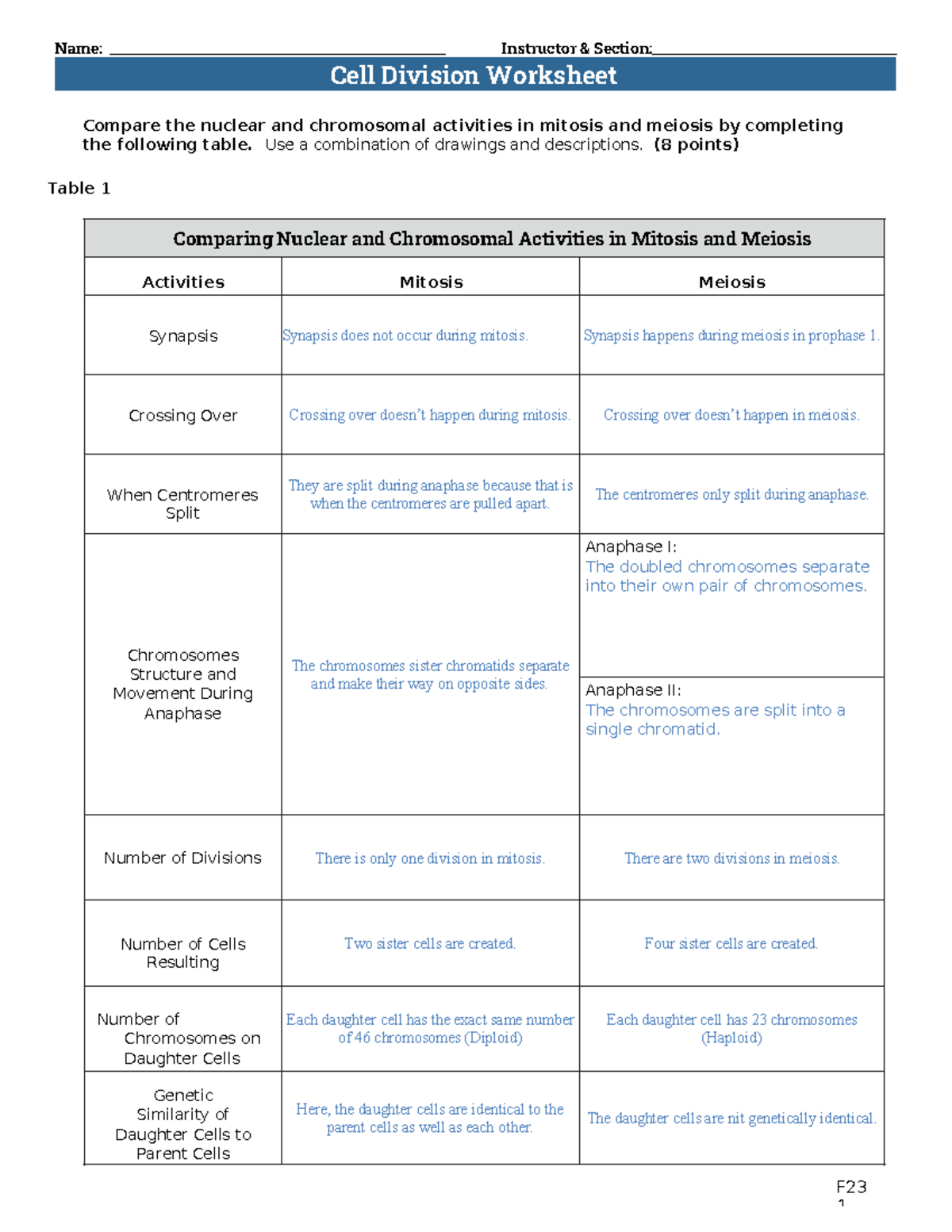 Cell Division Lab Worksheet - Cell Division Worksheet F Compare the ...