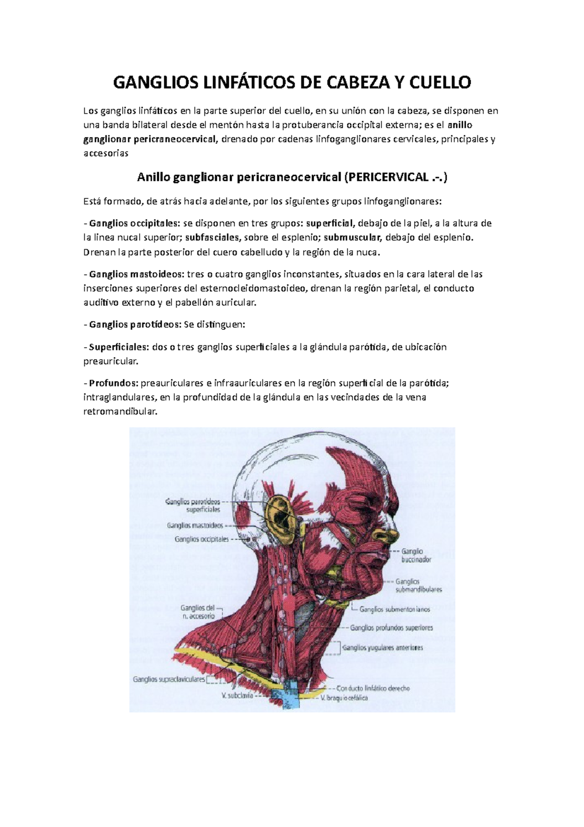 Ganglios de cabeza y cuello - GANGLIOS LINFÁTICOS DE CABEZA Y CUELLO ...