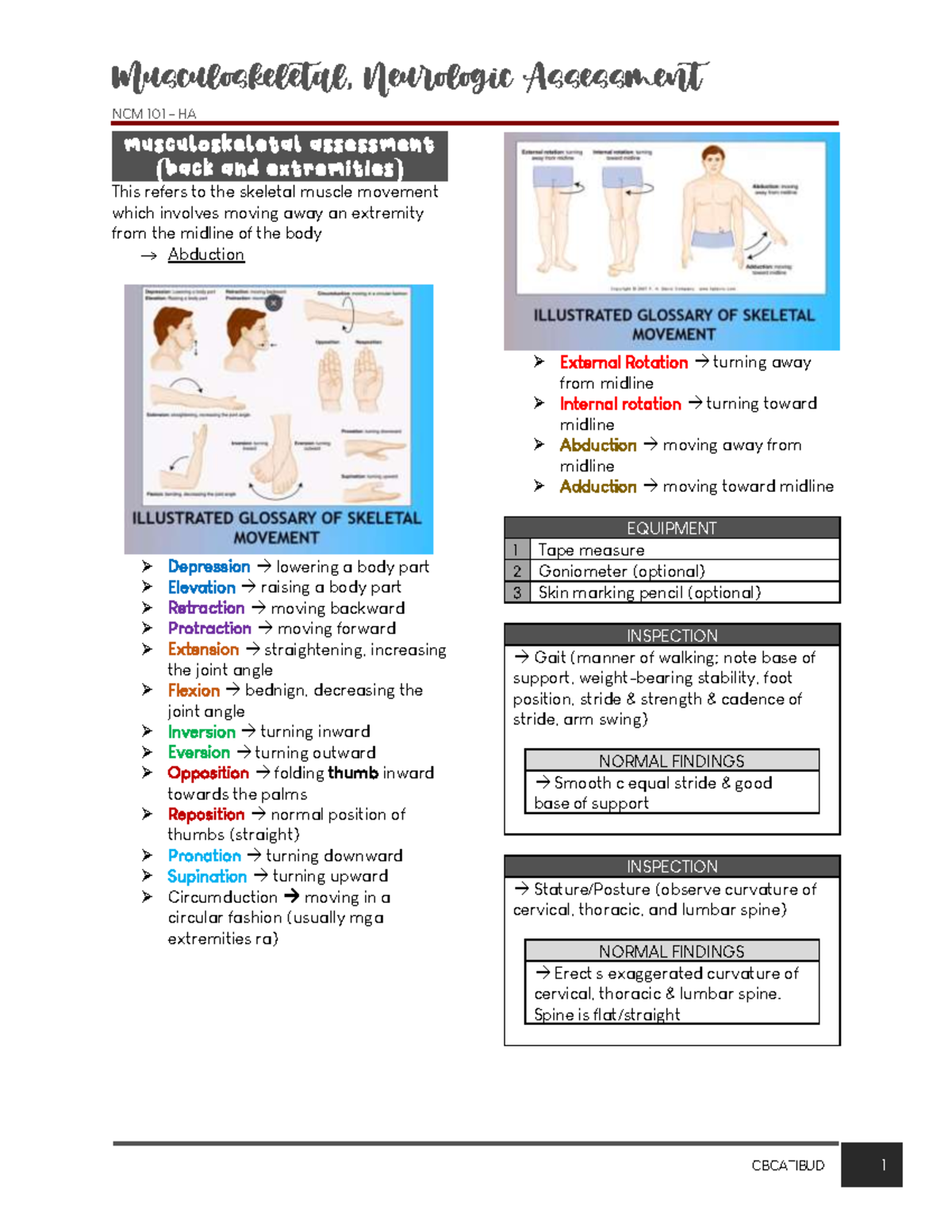 Muscoloskeletal,Neurologic - NCM 101 - HA musculoskeletal assessment ...