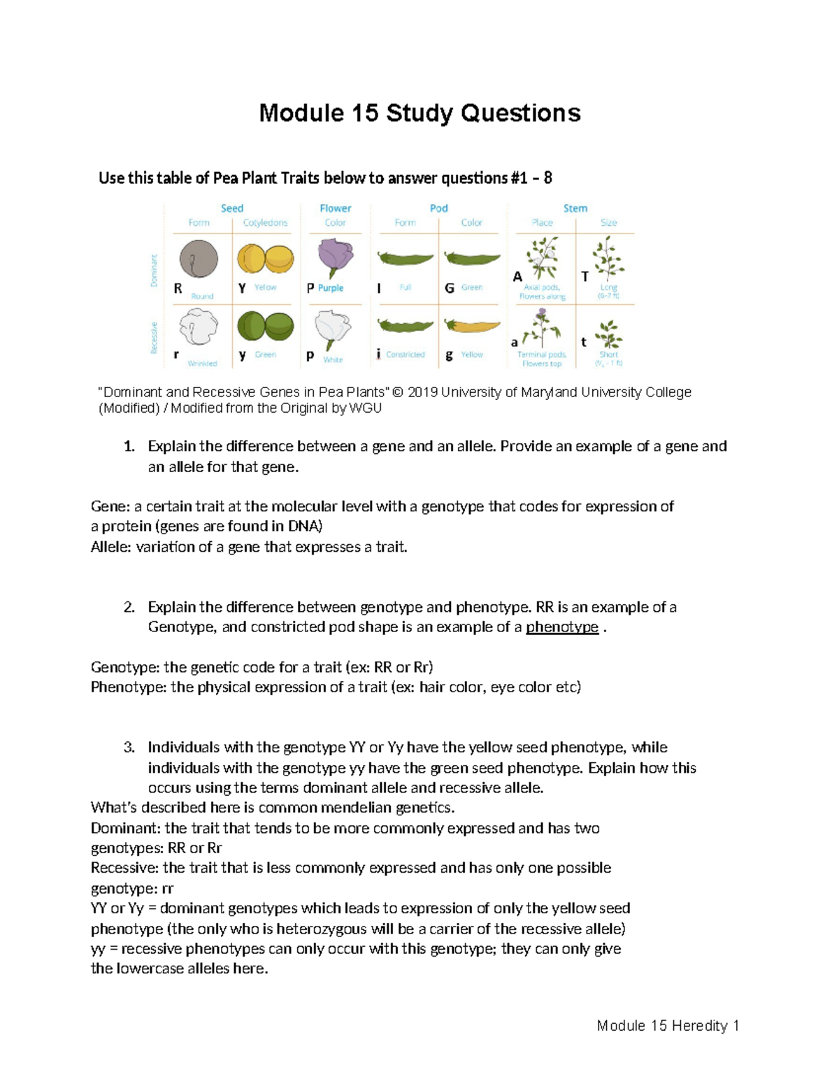 C190.v3 module 15 study questions - Module 15 Study Questions Use this ...