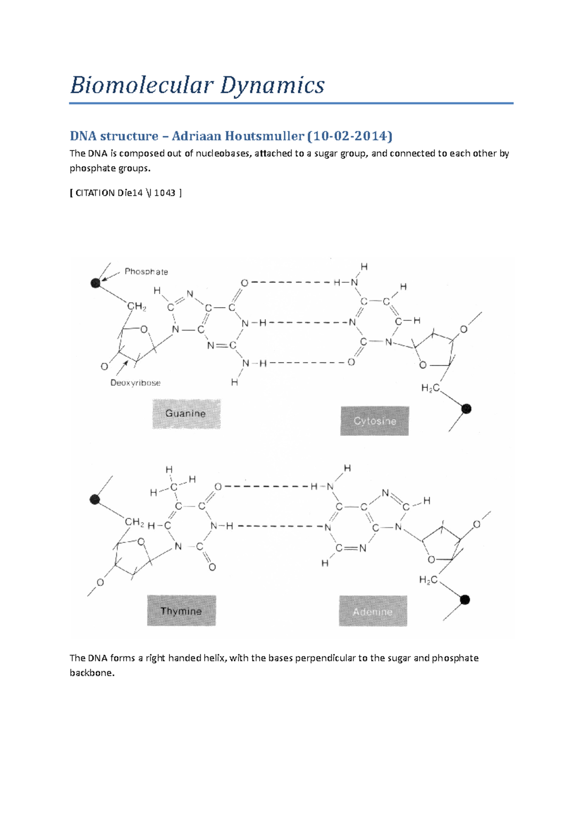 Biomolecular Dynamics 2 - College Notes - Biomolecular Dynamics DNA ...