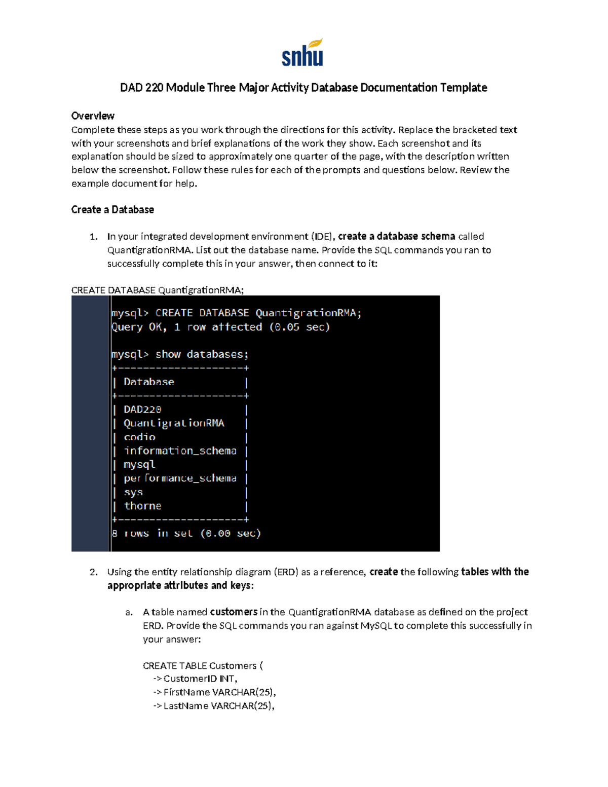 DAD 220 Module Three Major Activity Database Documentation Template - Replace the bracketed text ...