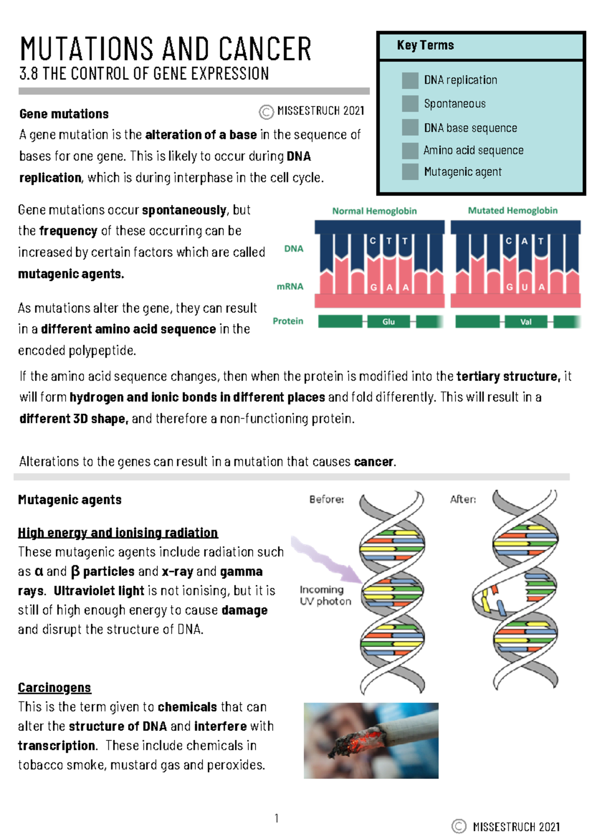 Topic 8 - MUTATIONS AND CANCER 3 THE CONTROL OF GENE EXPRESSION ...
