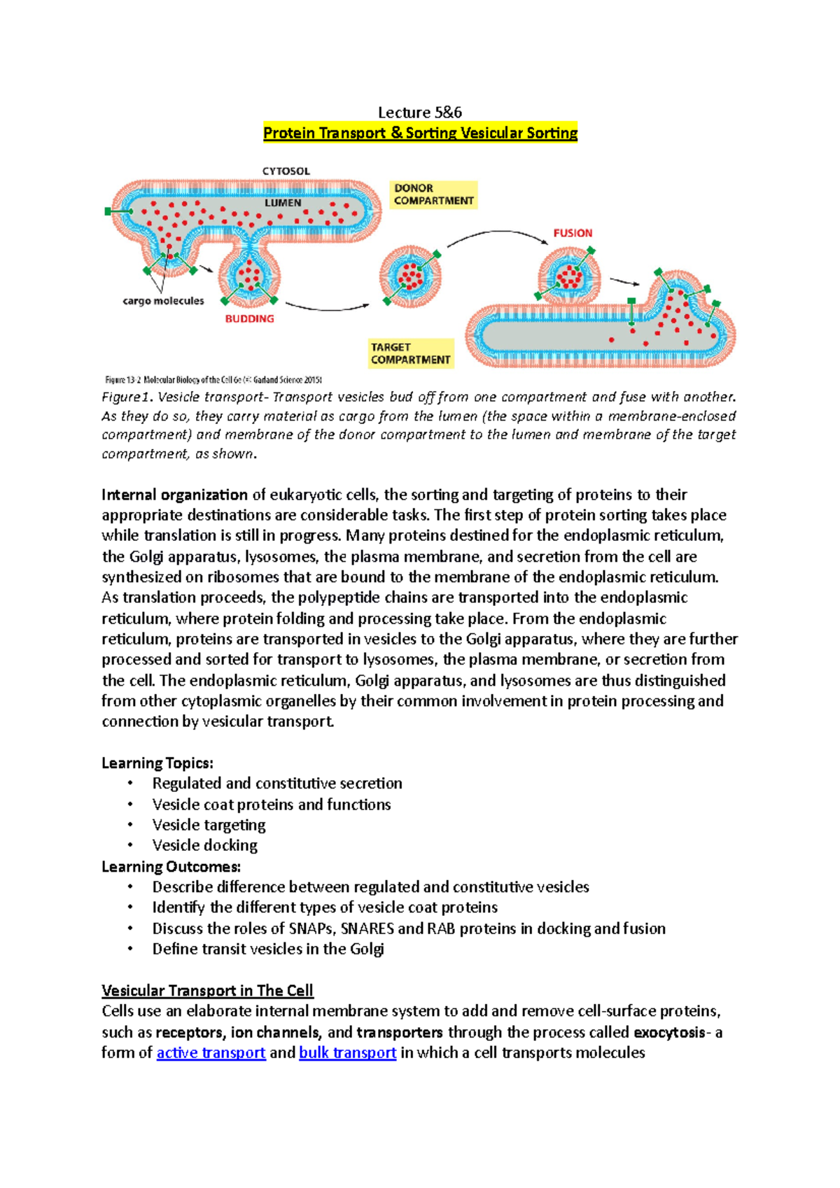 Lecture 5-6 of Pierrotti Cell signalling - Lecture 5& Protein Transport ...