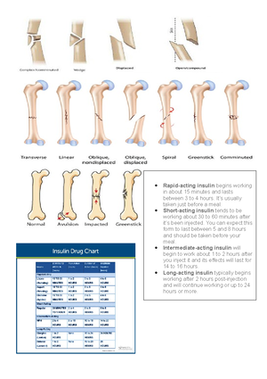 Musculoskeletal system - Function: -provides form -support -stability ...