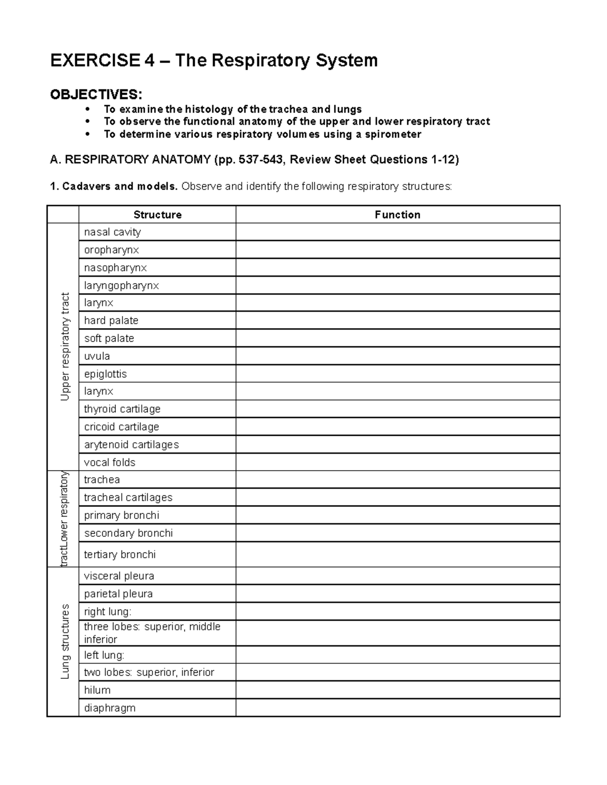 Exercise 4 – The Respiratory System - EXERCISE 4 The Respiratory System ...