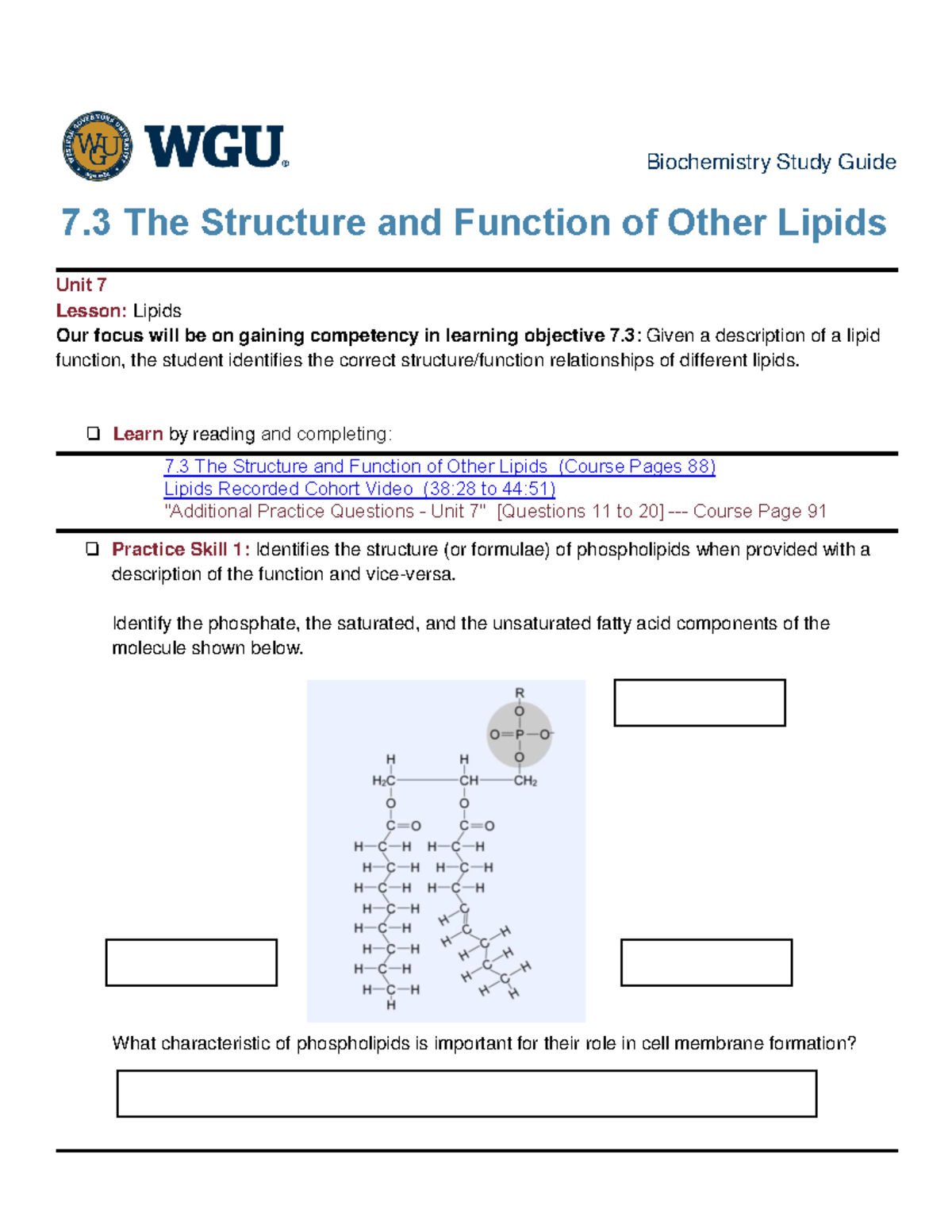 73 The Structure and Function of Other Lipids - Learn by reading and ...