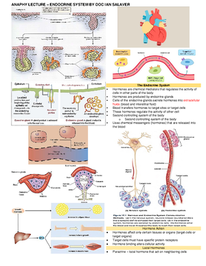 JCA- Application- Letter - John Cyprian A. Abelo, RN Block 3 Lot 11 ...
