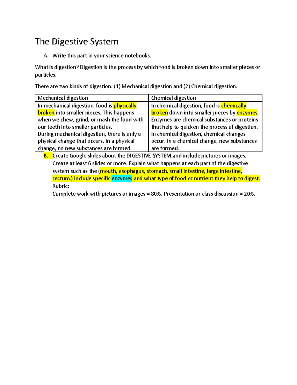 Digestive System assignment for practice - The Digestive System A ...