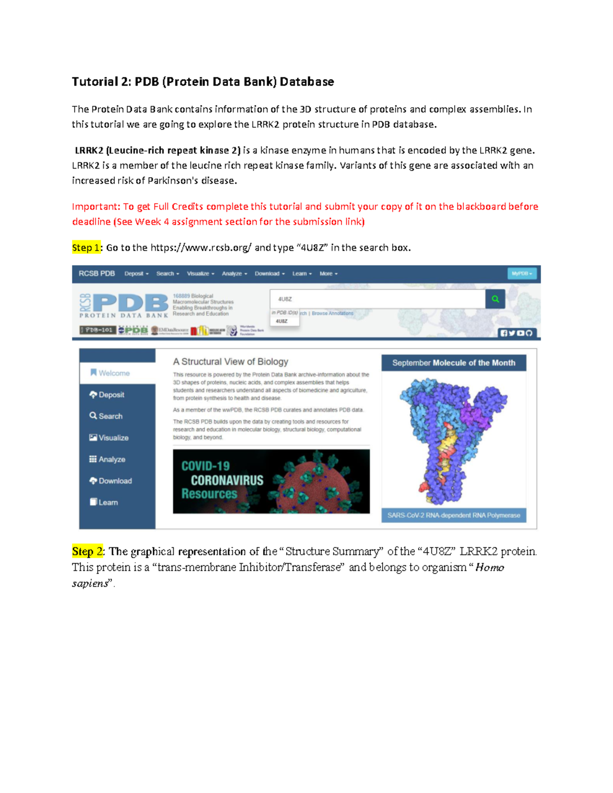 PDB tutorial S2021 - BIOL 105 - Hunter College - Studocu
