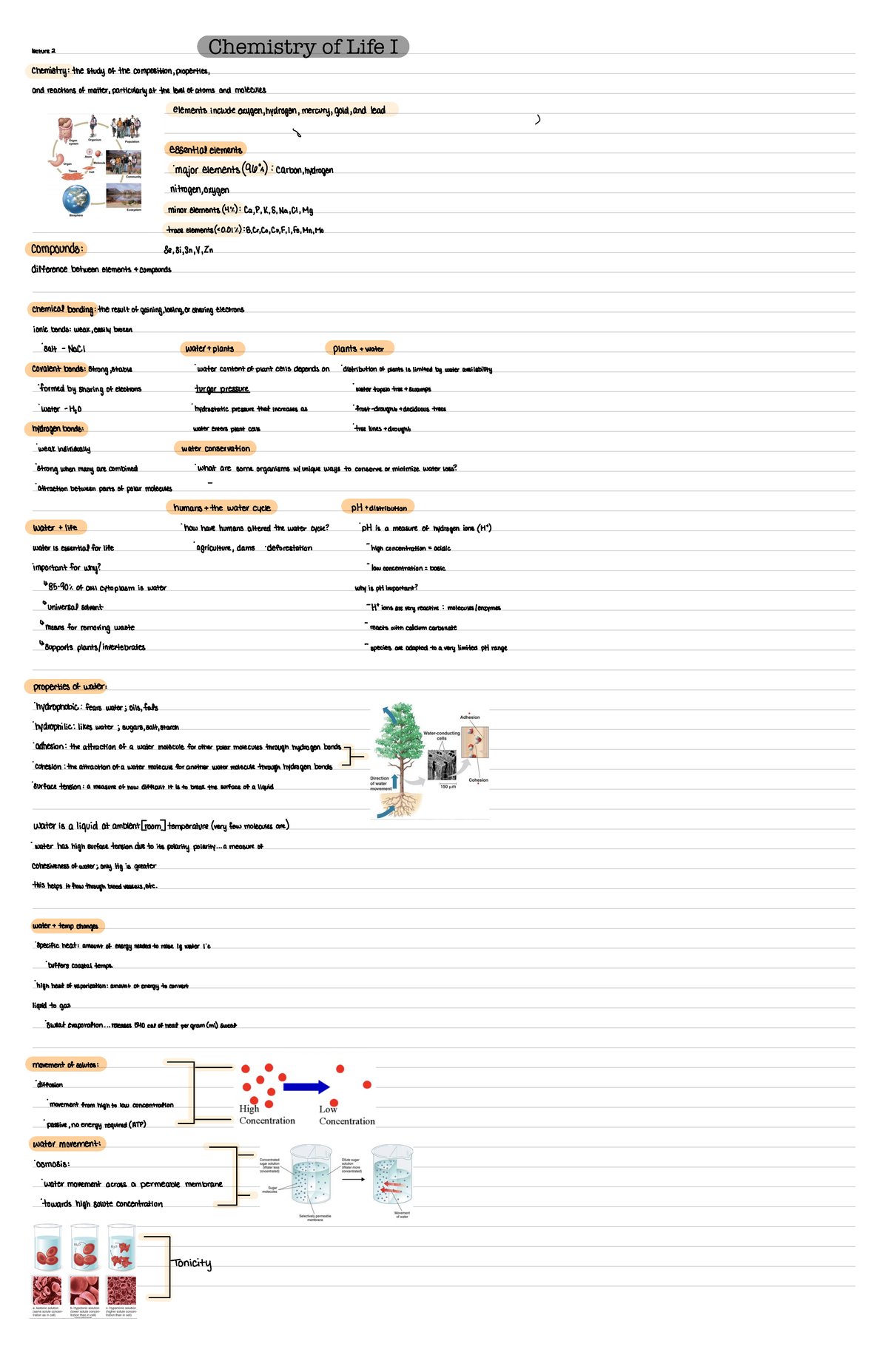 Human Biology- chemistry of life pt.1 - lecture 2 Chemistry of Life I ...