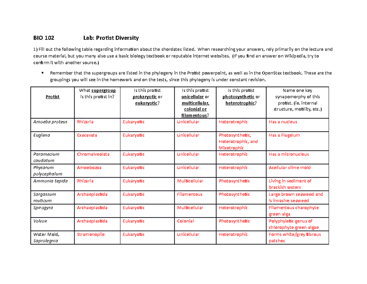 Virtual Protists-Worksheet - BIO 102 Lab: Protist Diversity Fill out the following table ...