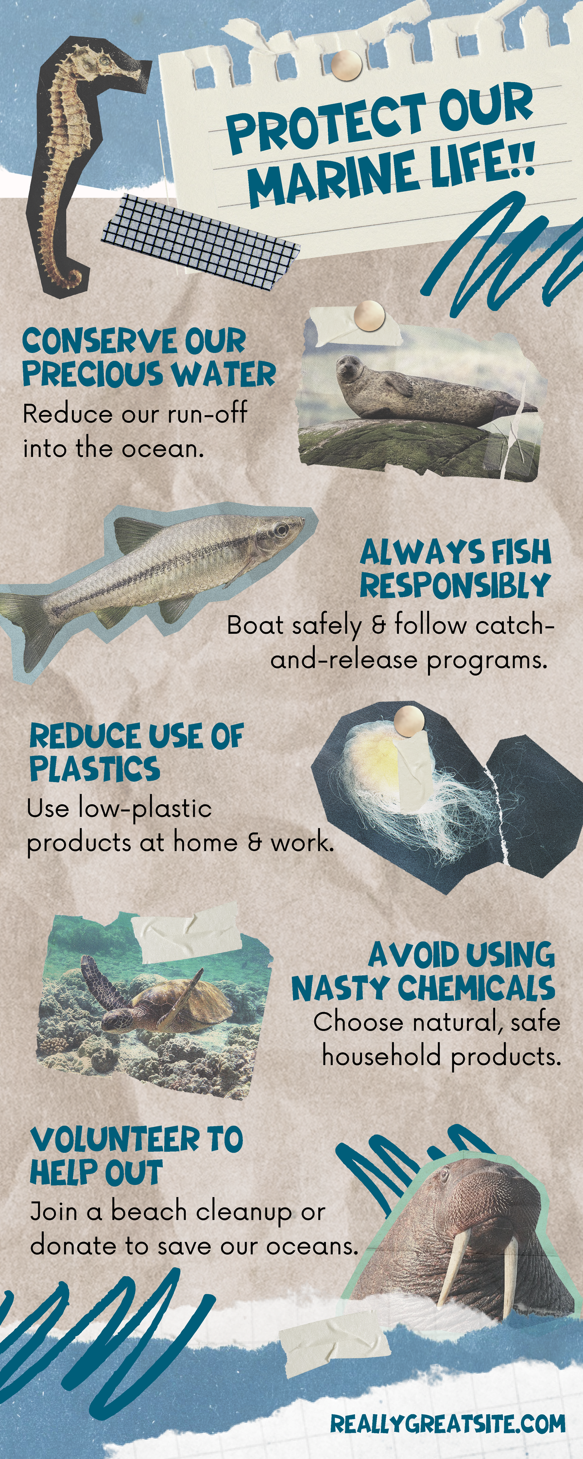 Marine Life Eco Conservation Informational Infographic 20240718 230848 ...