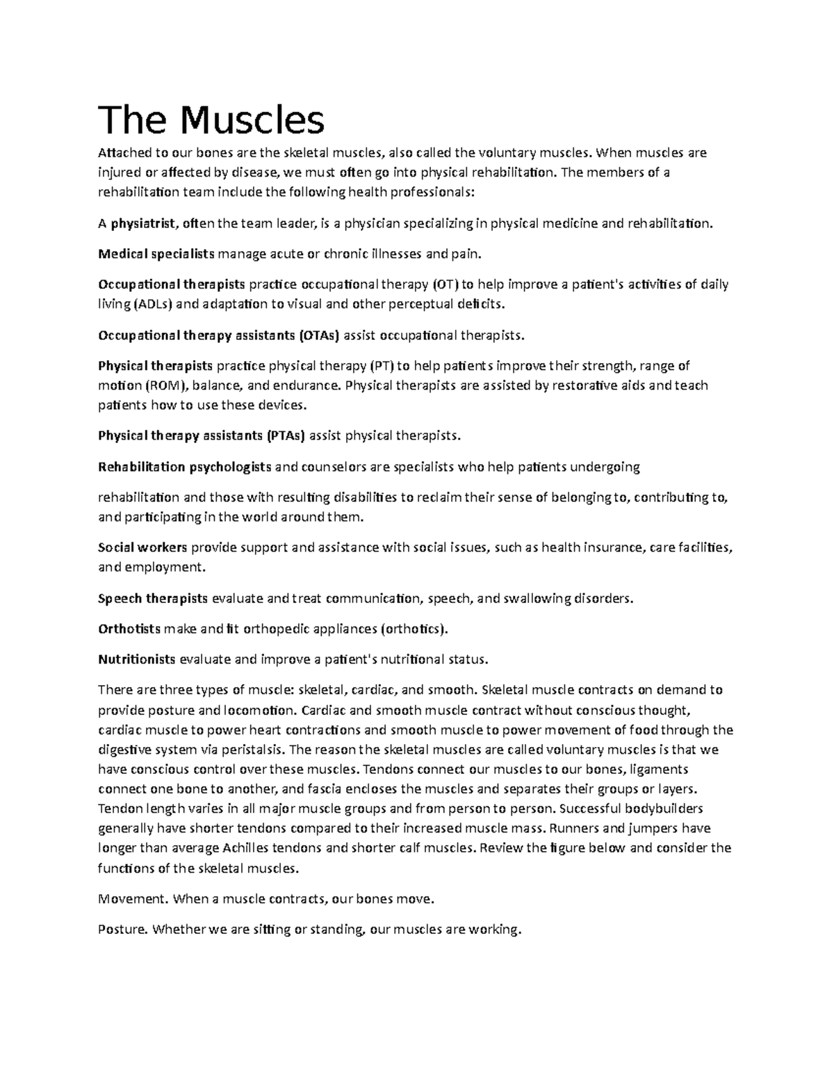 The Muscles - The Muscles Attached to our bones are the skeletal ...