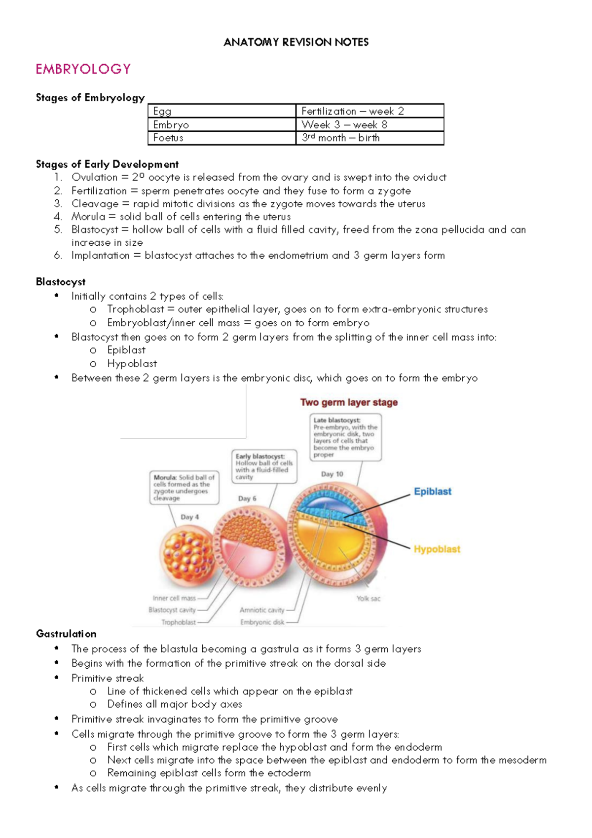 ANAT2000 6 Notes - ANATOMY REVISION NOTES EMBRYOLOGY Stages of ...