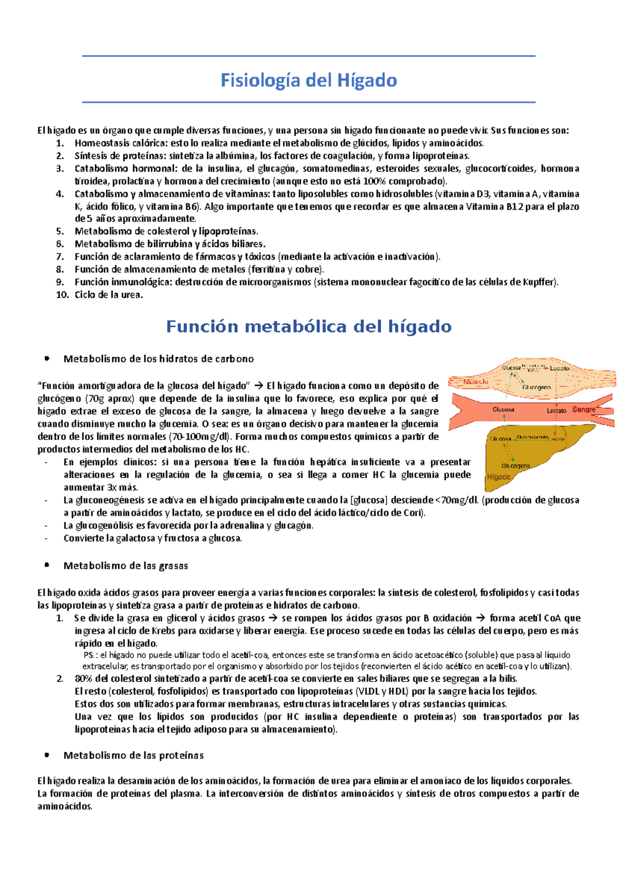 Hígado - Fisiología - guias - Fisiología del Hígado El hígado es un ...