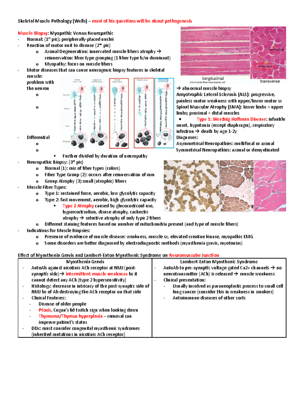 6. Skeletal Muscle Pathology (Wells) - Studocu