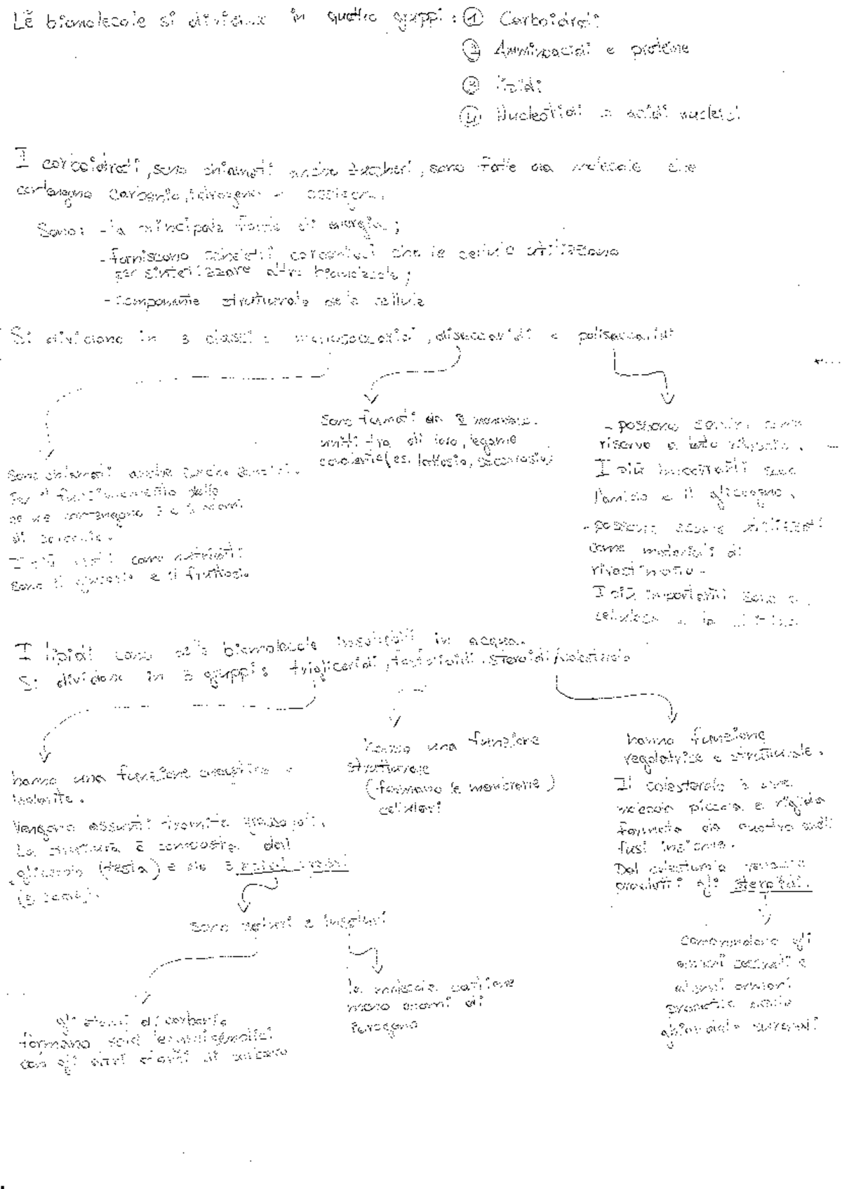 Le biomolecole riassunto - Scienze e Tecnologie Applicate (Tecnologico ...